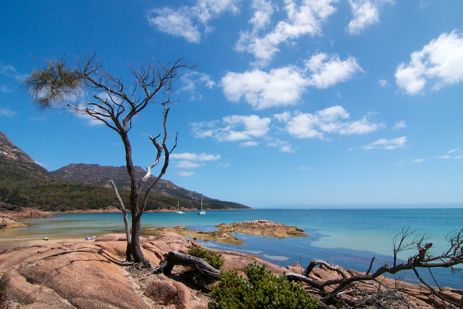 Trek dans le splendide parc de Freycinet
